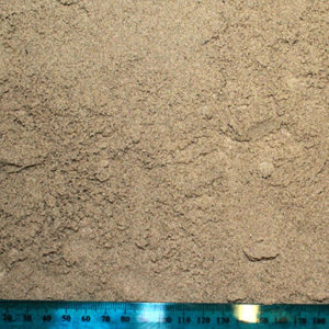 Fine Rendering Sand – Sapar Landscaping Supplies