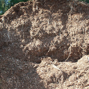 Double Ground Forest Mulch – Sapar Landscaping Supplies